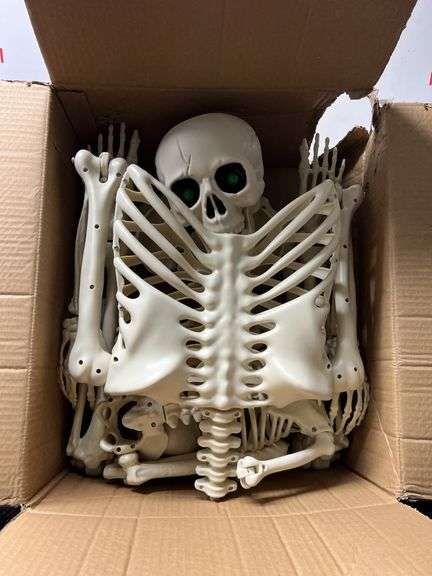 Halloween Light-up Skeleton - Business Liquidation Auction