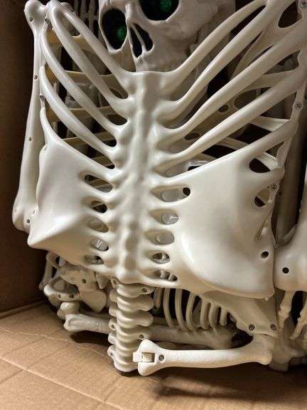 Halloween Light-up Skeleton - Business Liquidation Auction