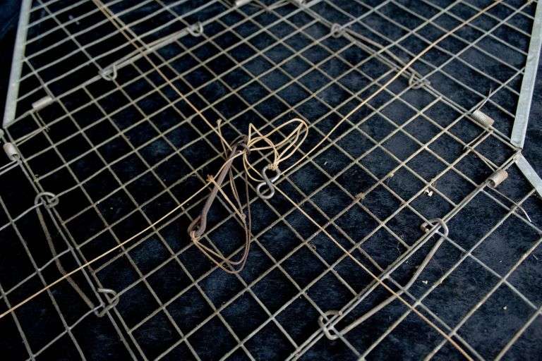 Vintage pyramid shaped spring loaded crab trap. - Bunting Online Auctions