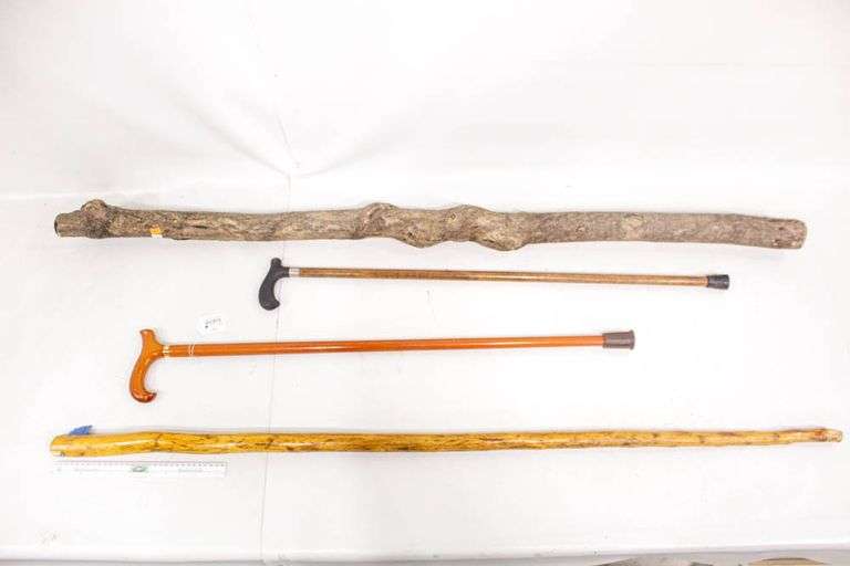 Eclectic Collection of Walking Sticks: Rustic Primitive Vine Twisted ...