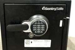 Sentry Safe Model SFW123GTC - Code and Keys - Bunting Online Auctions