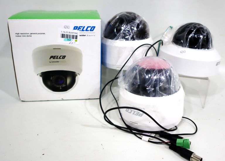 Pelco High Resolution, General Purpose Indoor Mini Dome Security ...