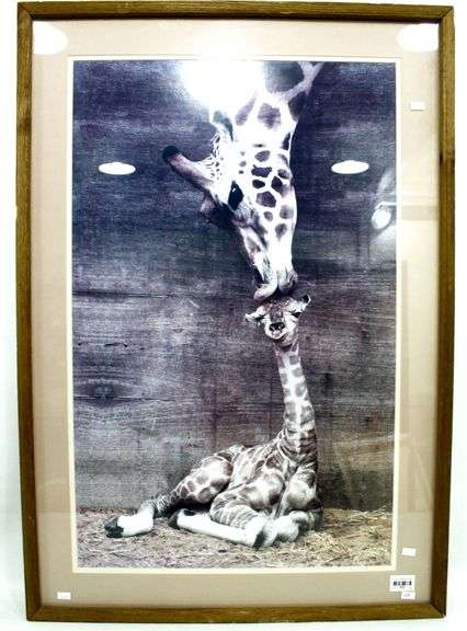 "Giraffe, First Kiss" by Ron D'Raine - 30 x 25 - Bunting Online Auctions