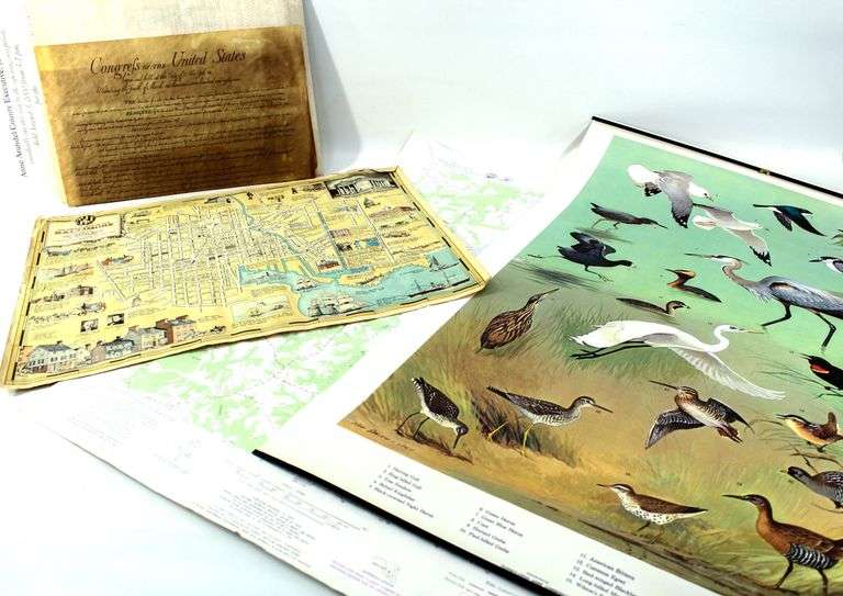 Baltimore Vintage Map, Bird Charts, Patuxent River, and More. - Bunting ...