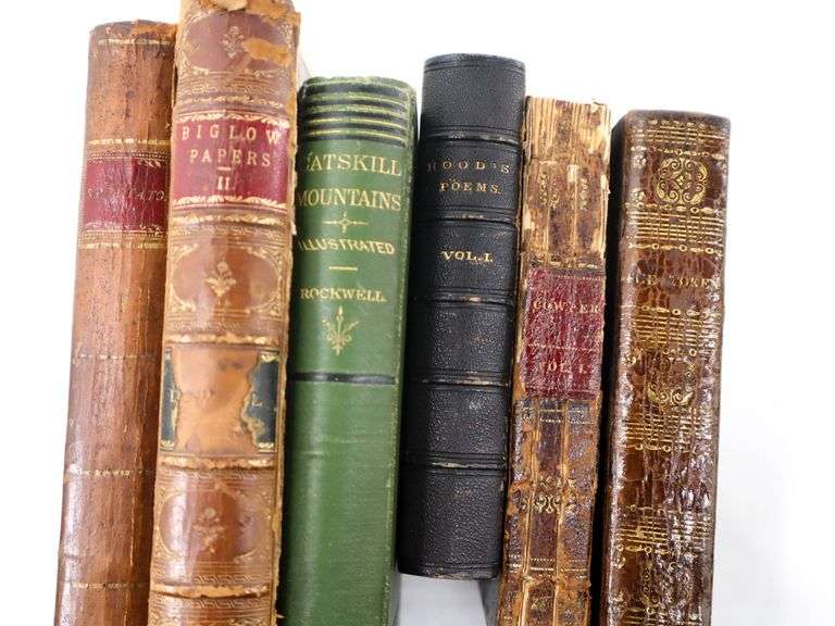 Vintage Books Includes Biglow Papers II, Hood's Poems, Catskill ...