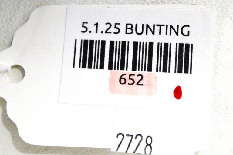 Ryobi SS50 Speed Saw with Case - Bunting Online Auctions