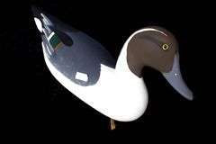Signed , Hand Carved , Pintail Duck Decoy , Marked Capt Harry R Jobes ...
