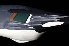 Signed , Hand Carved , Pintail Duck Decoy , Marked Capt Harry R Jobes ...