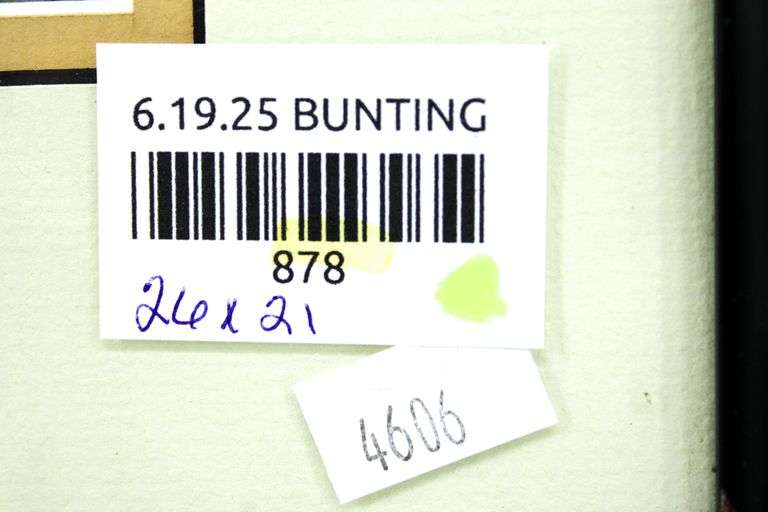 Maxine Albro "Fret Not Yourself" print of mural in San Francisco's COIT ...