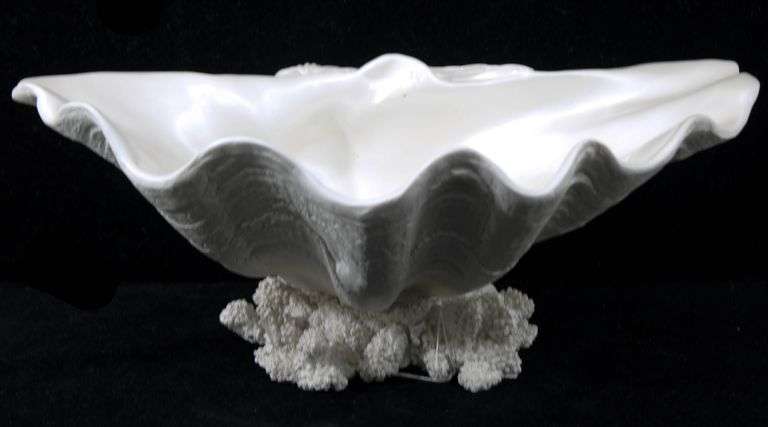 Coastal Clam Shell Sculptural Centerpiece - Bunting Online Auctions