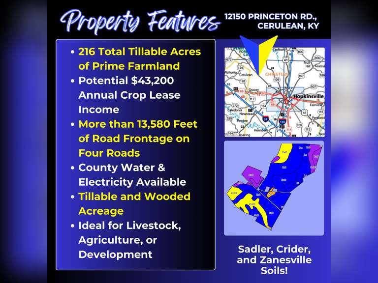 ABSOLUTE LAND AUCTION - 310.67 ACRES IN CERULEAN, KY- 9 TRACTS ...
