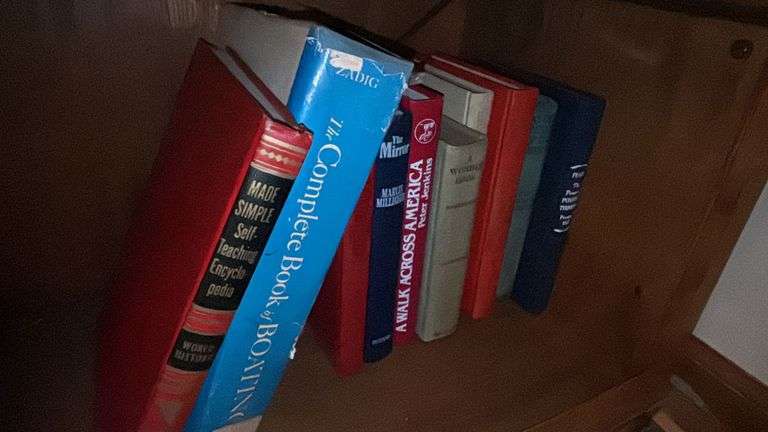 Websters, dictionary and reference books - Bonnigson & Associates
