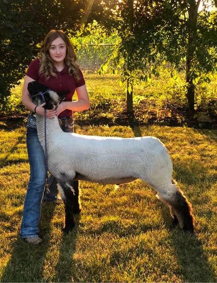 Kiley Keckler Madison-Plains FFA - Breeders World