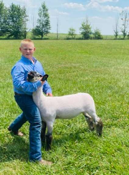 Drew Reeves Green Range - Breeders World