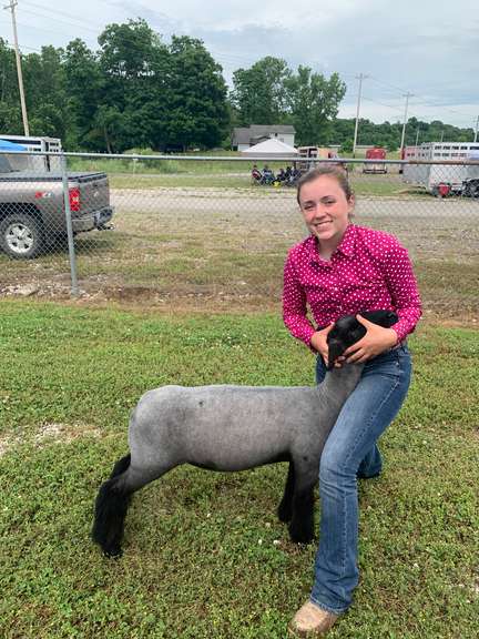 Macy Burchett Madison Plains FFA - Breeders World