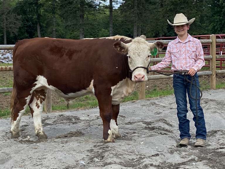 Jake Bybee Beef Masters 4-H Club - Breeders World