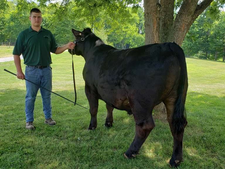 Mike Soltis Breeders & Feeders - Breeders World