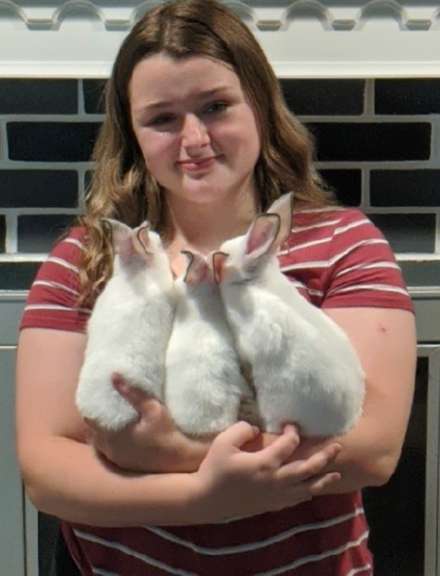 Abigail Drake - MARKET RABBIT - RESERVE GRAND CHAMPION - PEN OF 3 ...