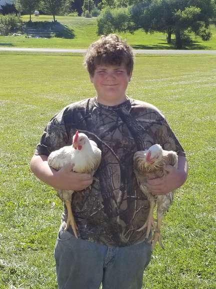 Jonathan Schramm Heart Homes and Hooves 4H Club - Breeders World