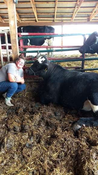 Hayley Bankey Jackson Livestock 4H Club - Breeders World