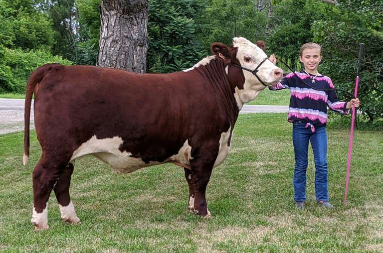 Jennifer Keets 4-Leaf Clovers 4-H Club - Breeders World