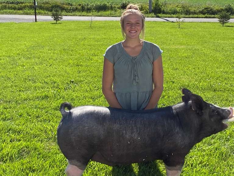 Morgan Donaldson Blue Ribbon Kids - Breeders World