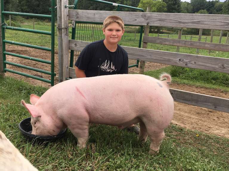 Kale Hamker Next Generation 4-H Club - Breeders World