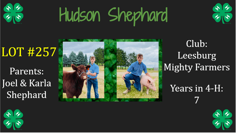 Hudson Shepherd Leesburg Mighty Farmers - Breeders World