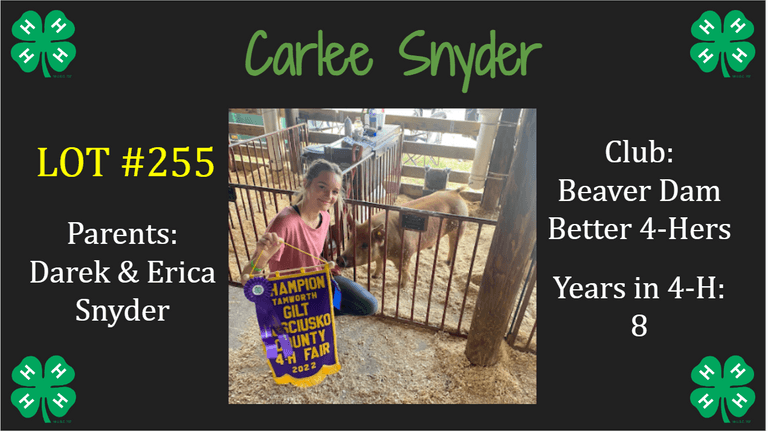 Carlee Snyder Beaver Dam Better 4hers - Breeders World