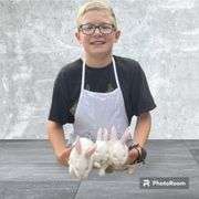 Lucas Montgomery Hare Raisers - Breeders World