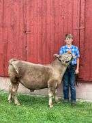 Clay Stieber Monroeville Fortune Finders - Breeders World