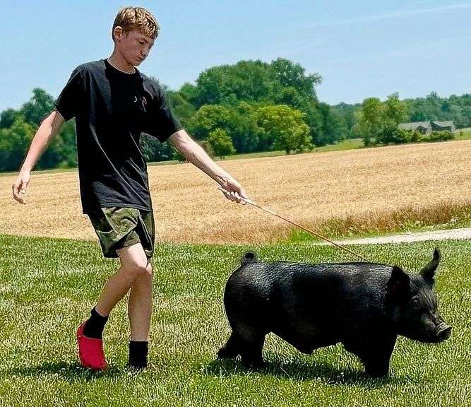 Chance Collene Eden Dairy - Breeders World