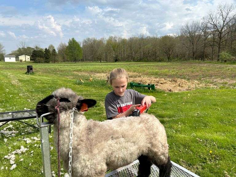 Brynn Brickner Hopewell Hog & Dairy - Breeders World