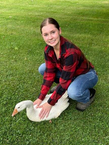 Erin Brian New Riegel Rawhide & Woolies - Breeders World