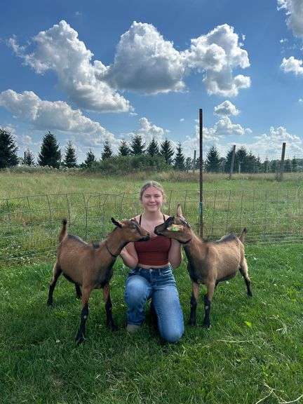 Madeline Smith Seneca Saddle Straddlers - Breeders World