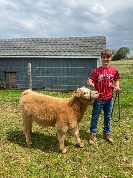 Isaac Good Thompson Toilers - Breeders World