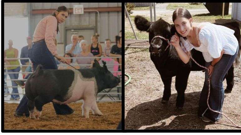 Mallorie Williams Wynford FFA & Mt. Zion Buckeyes - Breeders World