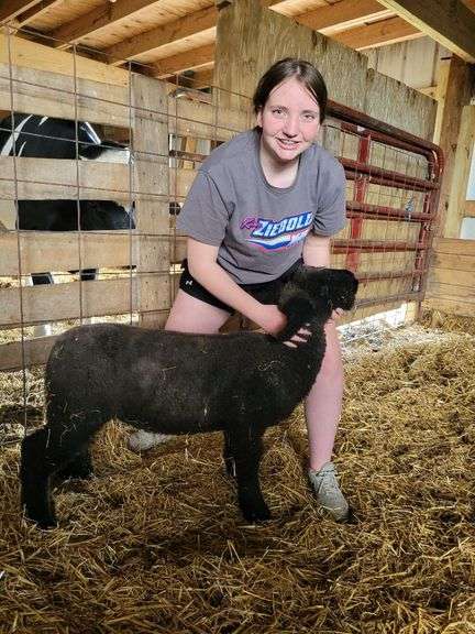 Adalynn Pierce Country Paws - Breeders World
