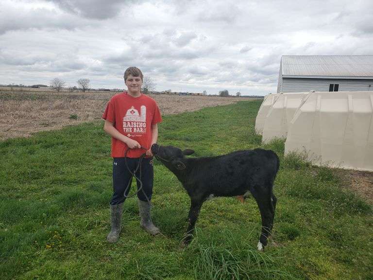 Timothy Kessler Jr New Riegel Rawhide & Woolies - Breeders World