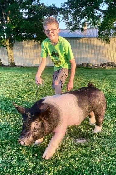 Lane Weber Liberty Leaders - Breeders World