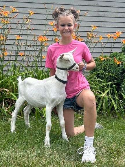 Grayce Cleland New Riegel Rawhide & Woolies - Breeders World