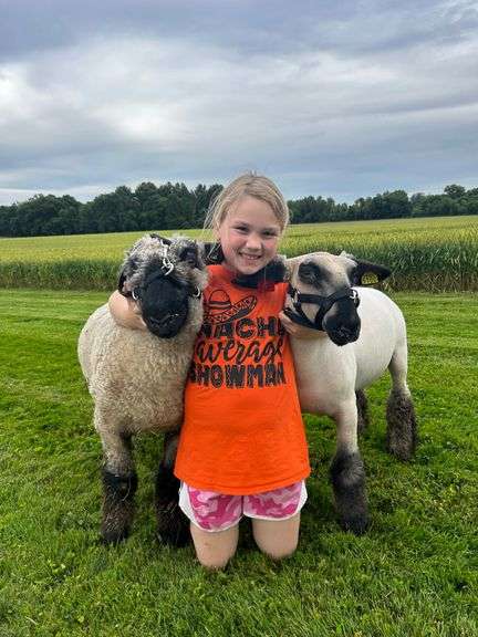 Ellie Baer North Robinson Blue Ribbons - Breeders World