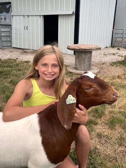 Violet Kelbley Backroad Barnyards - Breeders World