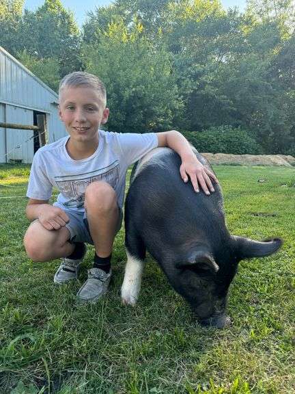 Bennett Withrow Progressive Livestock - Breeders World