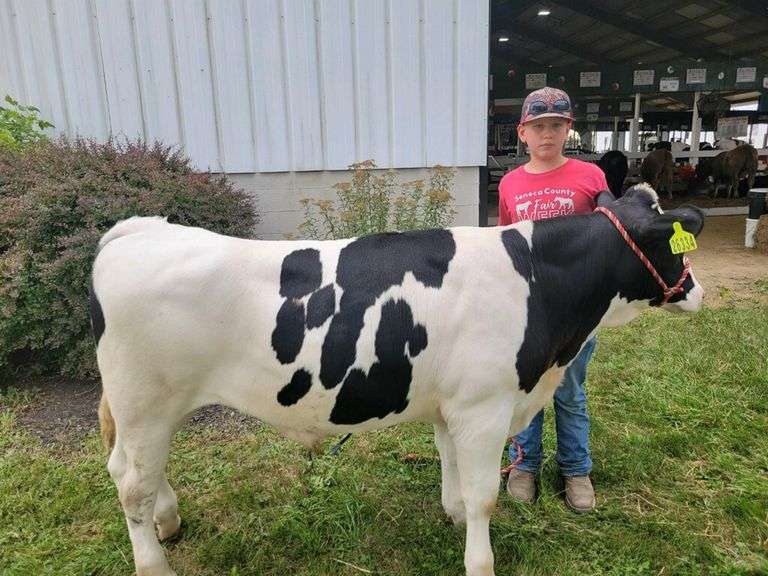 Brock Dentinger Bloomville Beef & Feeders - Breeders World