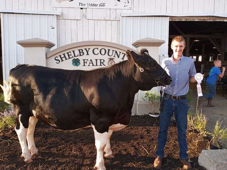 Levi Delaet Russia Livestock 4-H Club - Breeders World