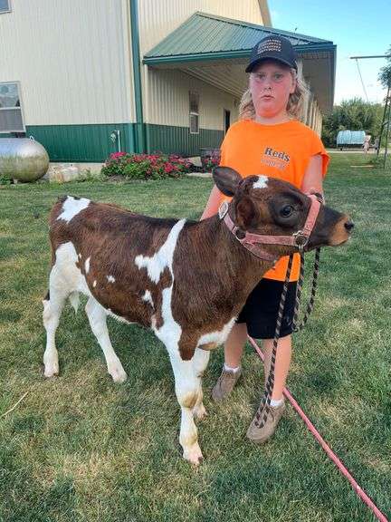 Michael Schumm Seneca CPA’s - Breeders World