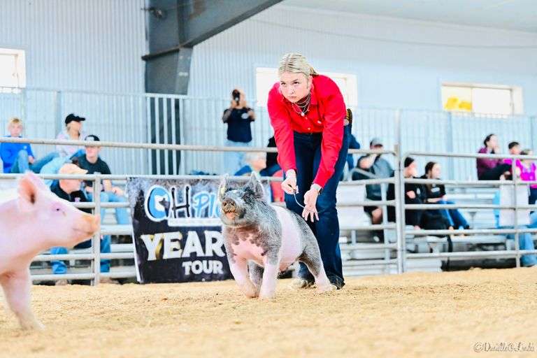 Addy Riley Norwich Fun Bunch 4-H Club - Breeders World