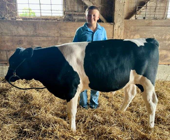 Andrew Shaver Circle E Beef - Breeders World