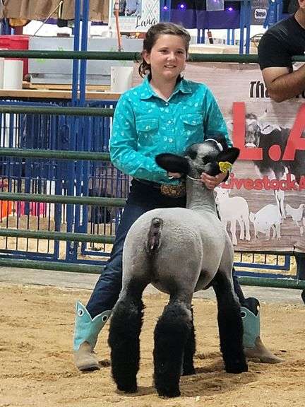 Ruby London HASKINS CLOVER CREW - Breeders World